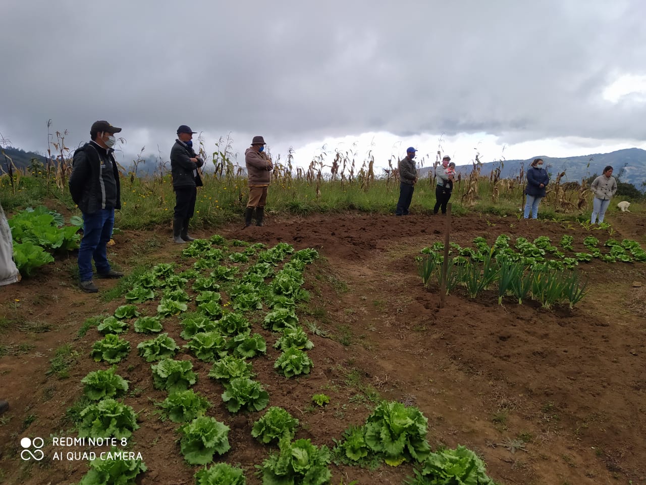 Radio Visión Cuenca 106.1 » Agricultores azuayos implementan huertos ...